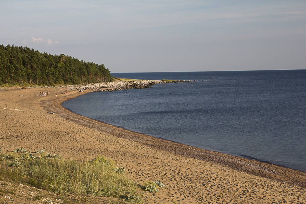 Magical Day Trip to Hiiumaa Island | Tallinn Day Trips